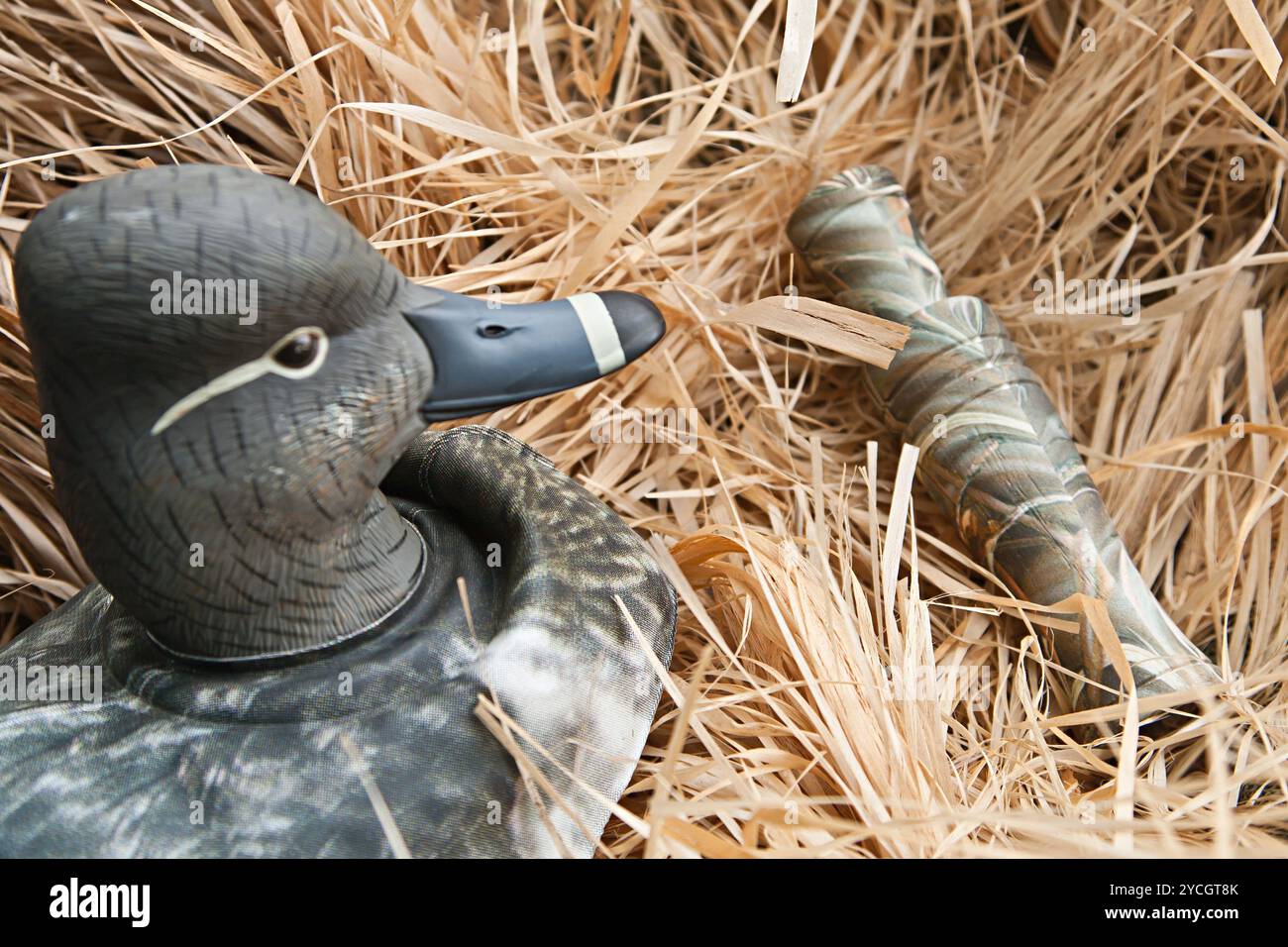 Duck call calls hi-res stock photography and images - Alamy