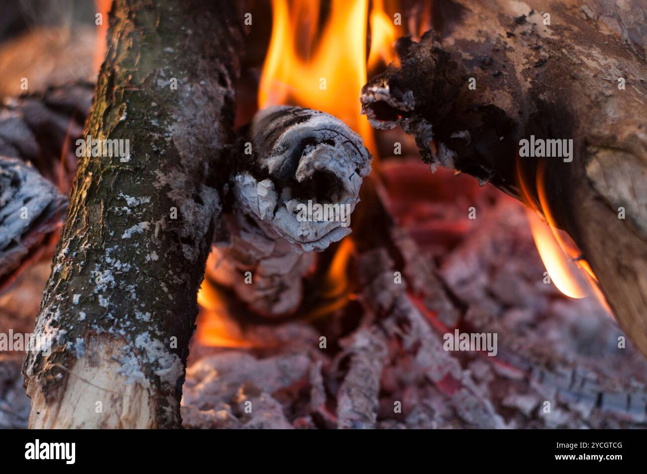 Dancing Flames and Glowing Embers Amidst the Logs Stock Photo - Alamy
