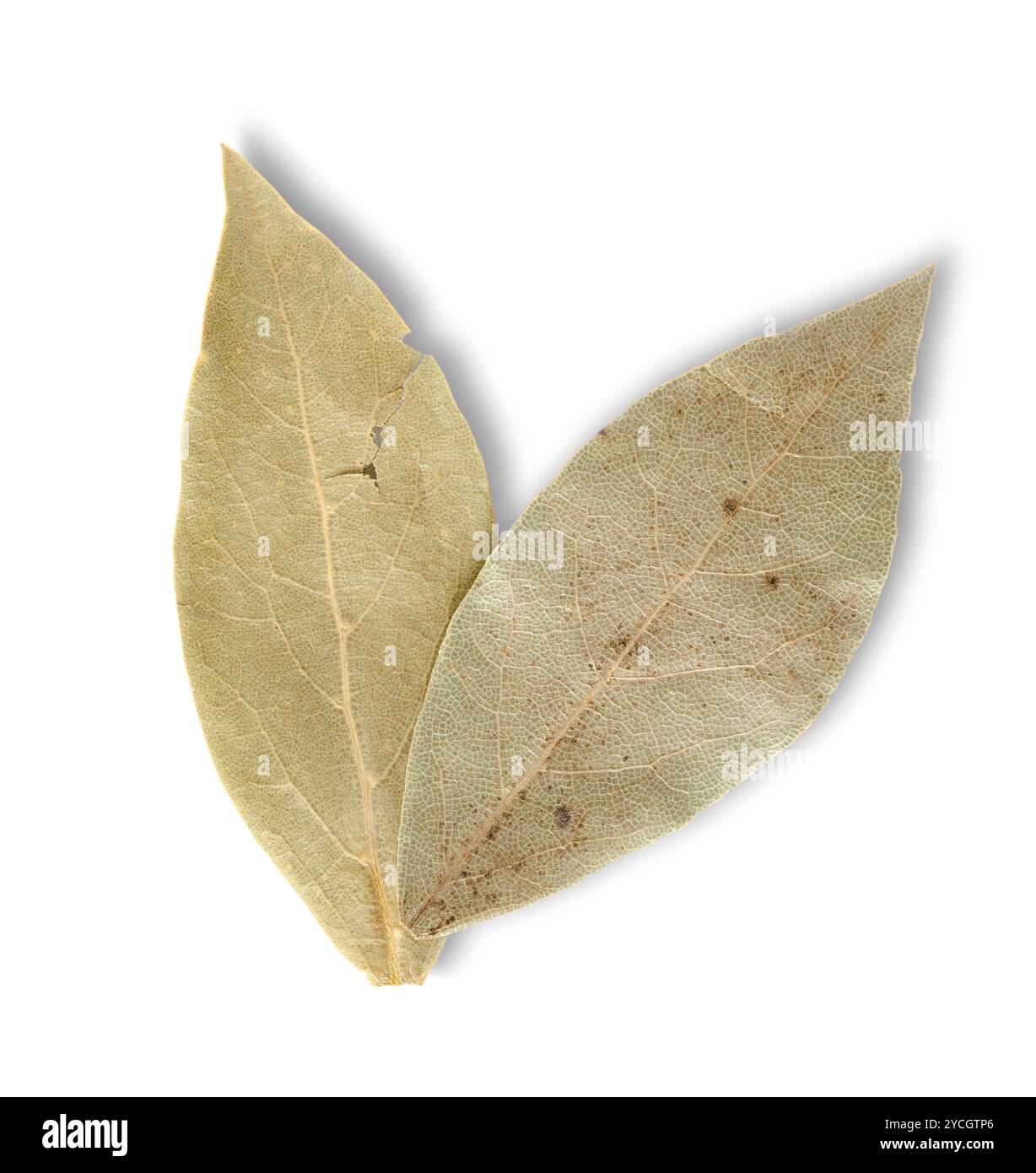 Bay image Cut Out Stock Images & Pictures - Alamy