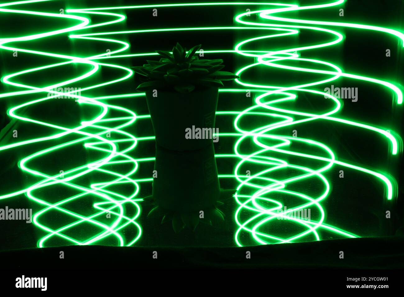 Neon Light Plant Stock Photo - Alamy