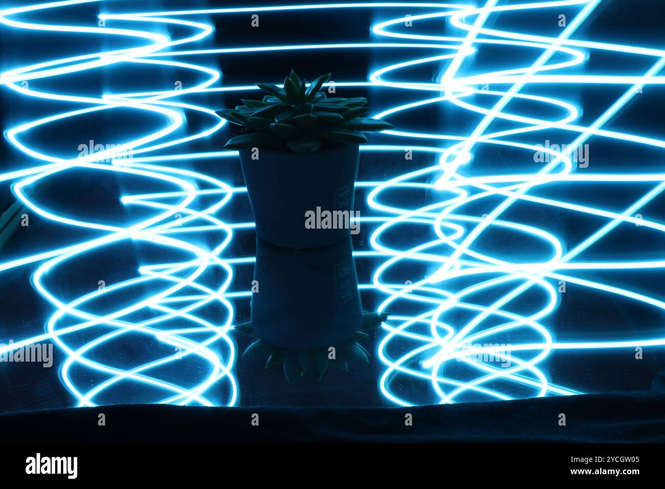 Led plant light hi-res stock photography and images - Alamy