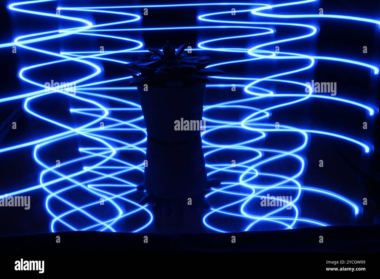 Neon Light Plant Stock Photo - Alamy