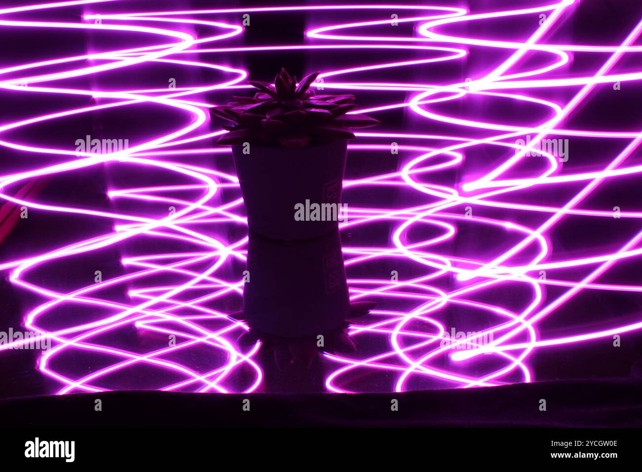 Cactus neon hi-res stock photography and images - Alamy