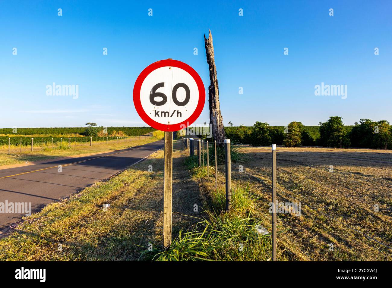 Traffic signpost, which indicates the maximum speed allowed at the ...