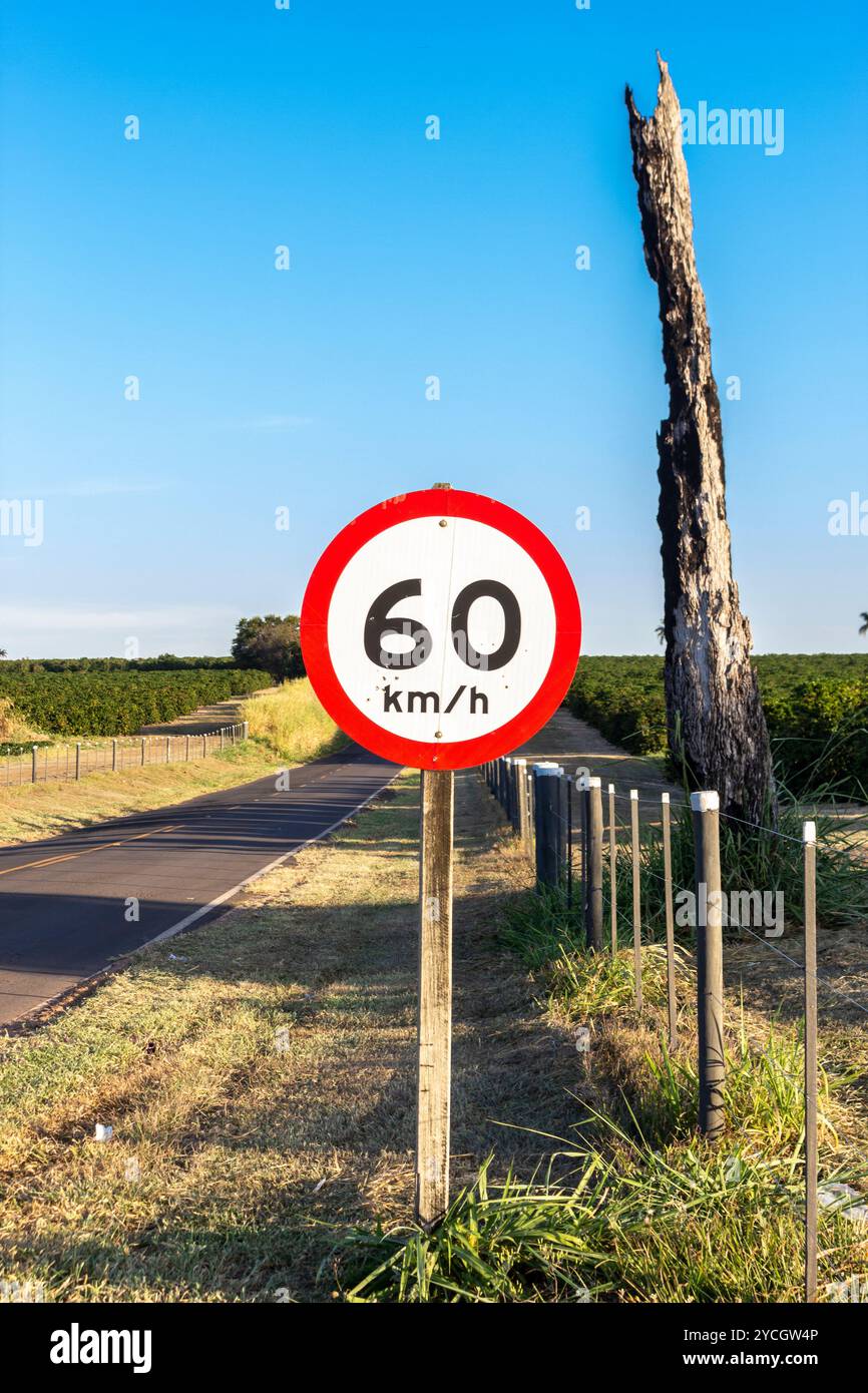 Traffic signpost, which indicates the maximum speed allowed at the ...