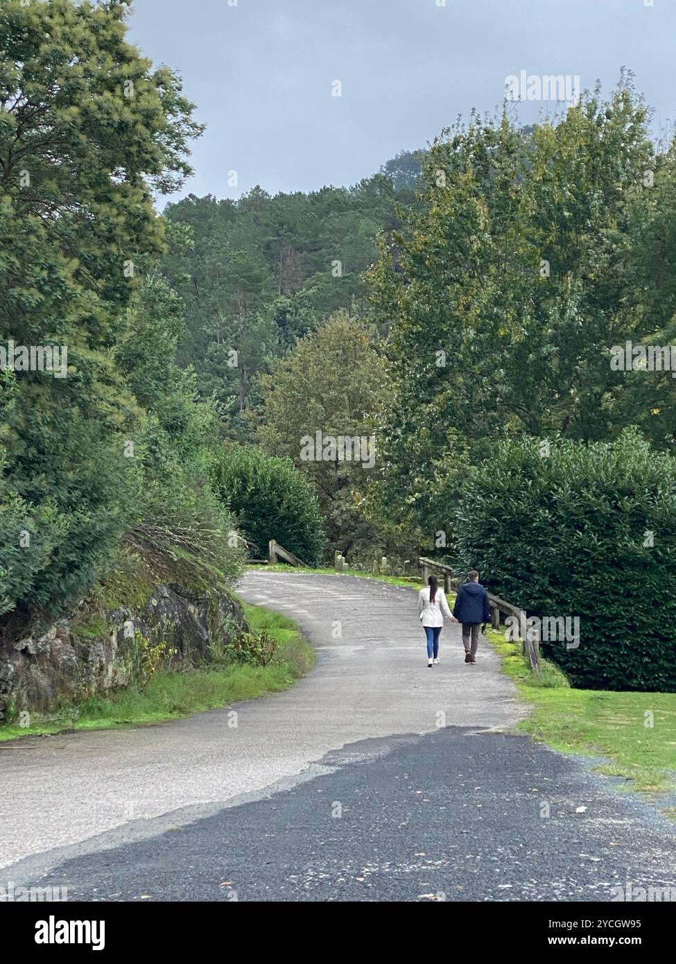 Couple in love holding hands while on a walk through a trail trhough ...