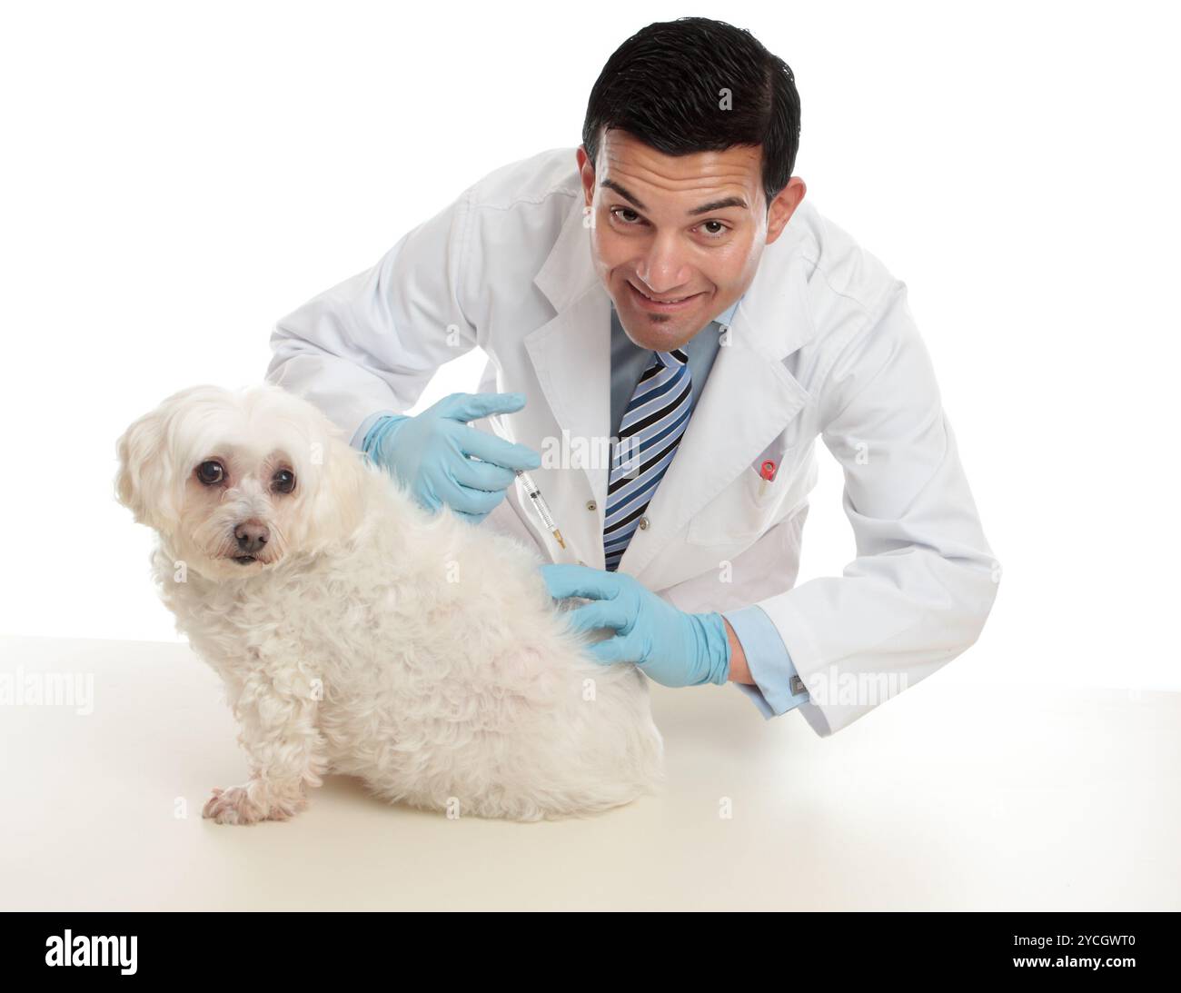 Male veterinarian giving dog injection hi-res stock photography and ...