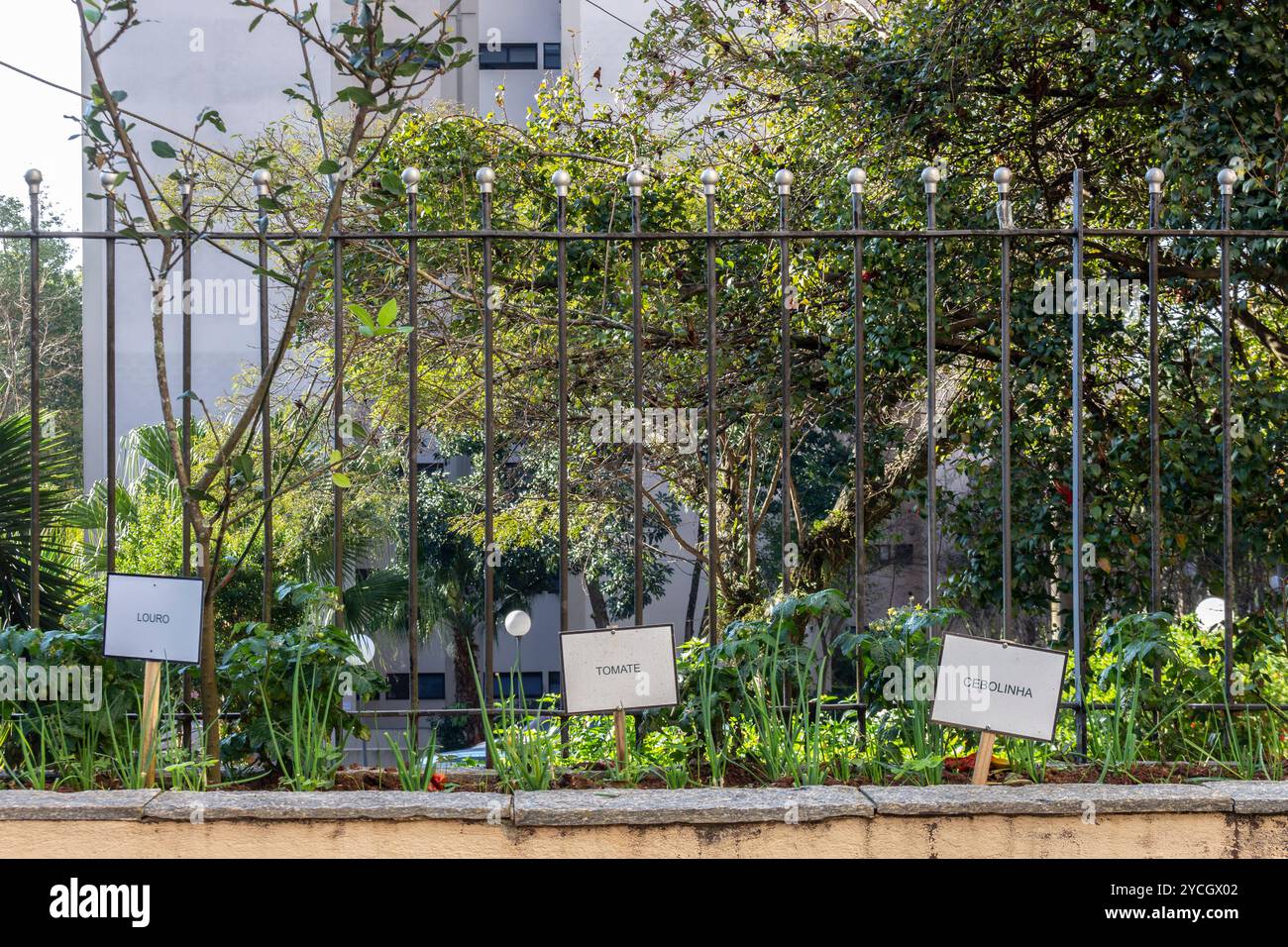 Vegetable garden, cultivated in an urban area, in a condominium of ...