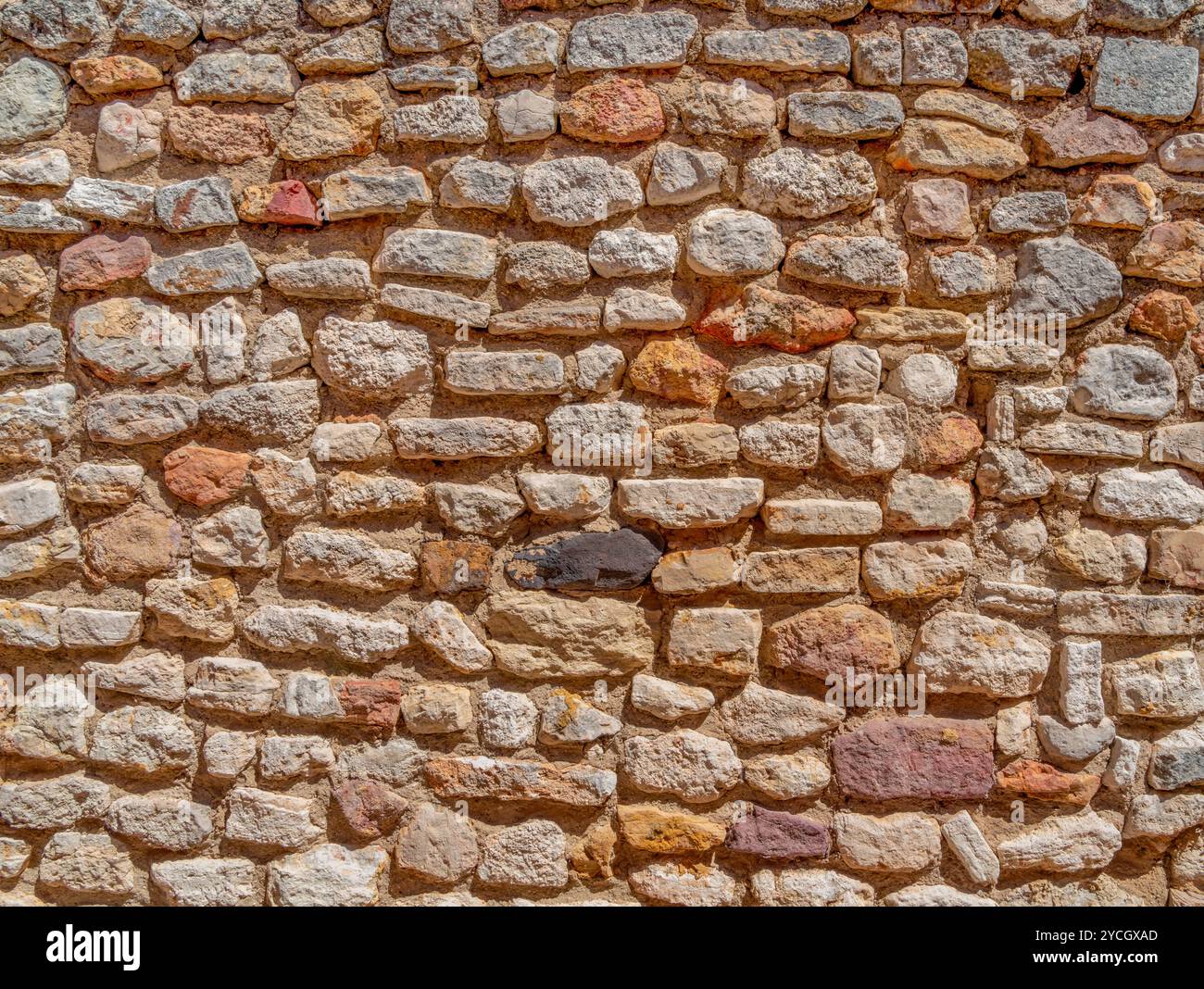 Lively variation hi-res stock photography and images - Alamy