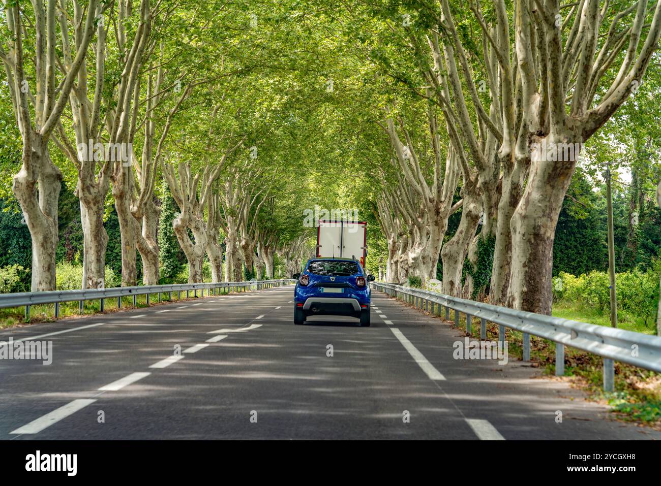 Plane trees provence hi-res stock photography and images - Alamy