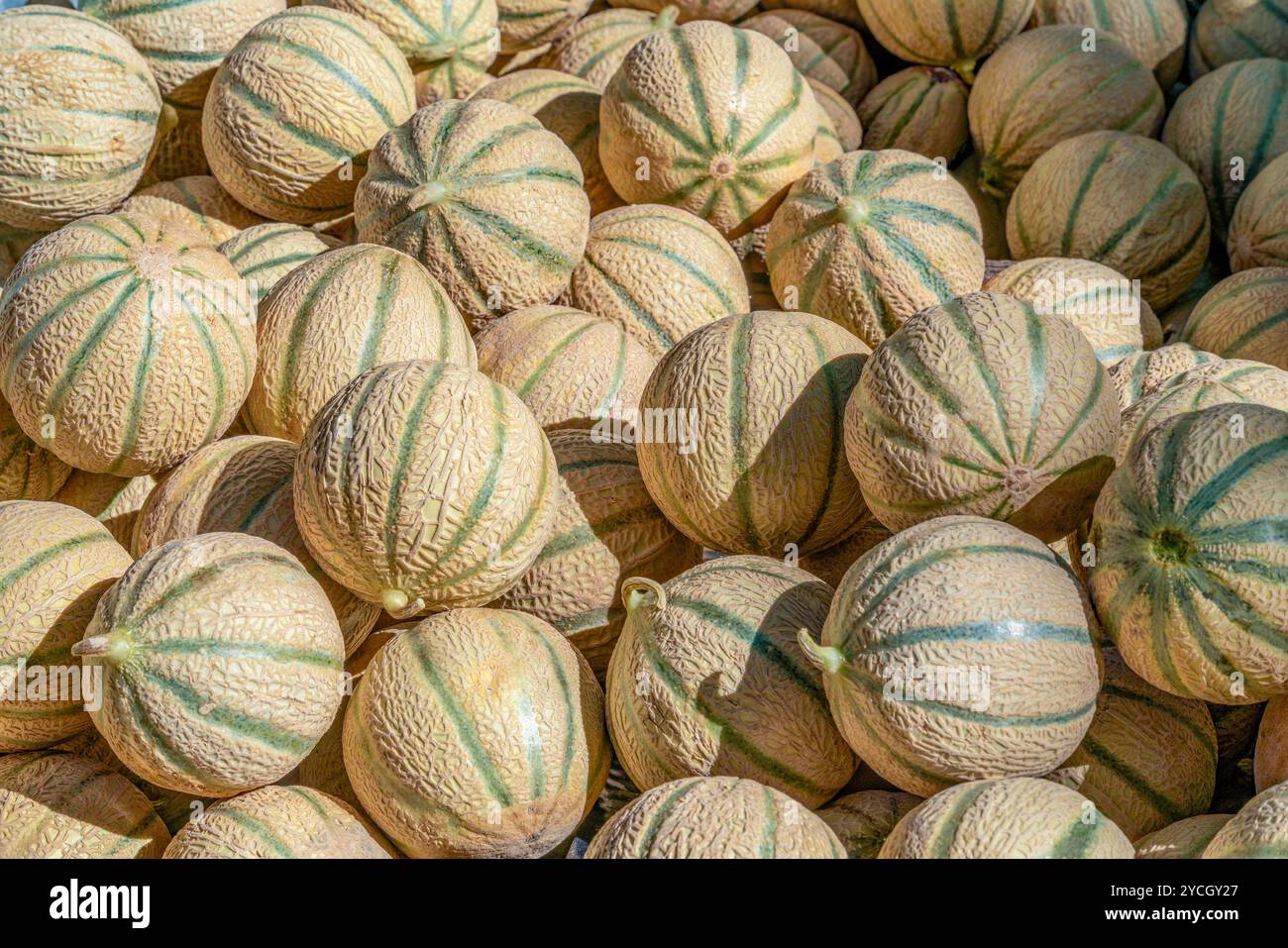 Melon melons display hi-res stock photography and images - Alamy