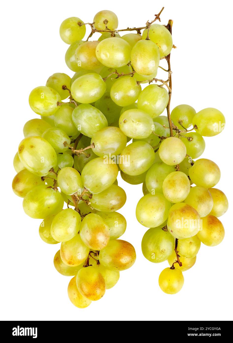 Grapes bunch isolated on hi-res stock photography and images - Alamy