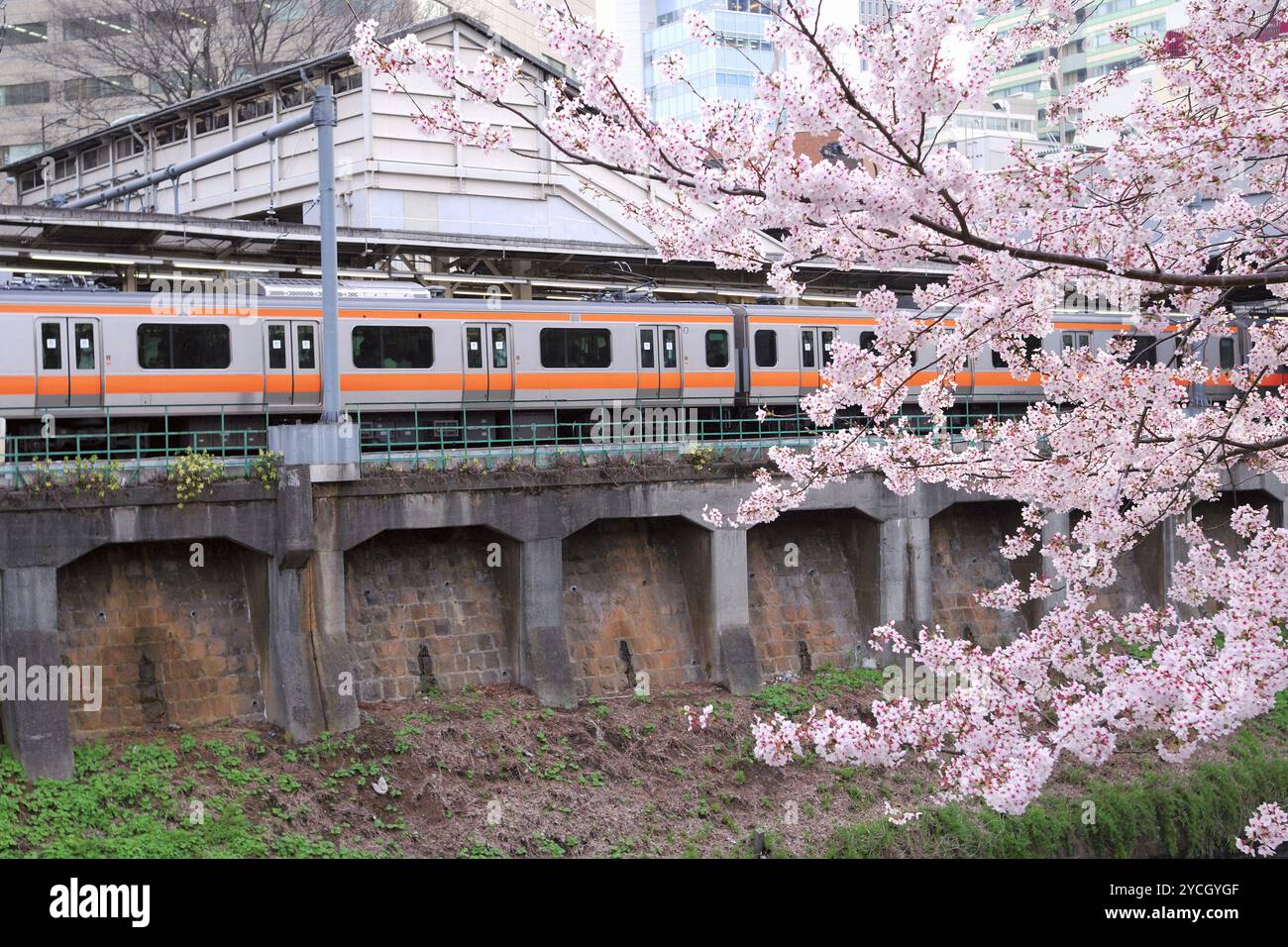 Spring in Tokyo Stock Photo - Alamy