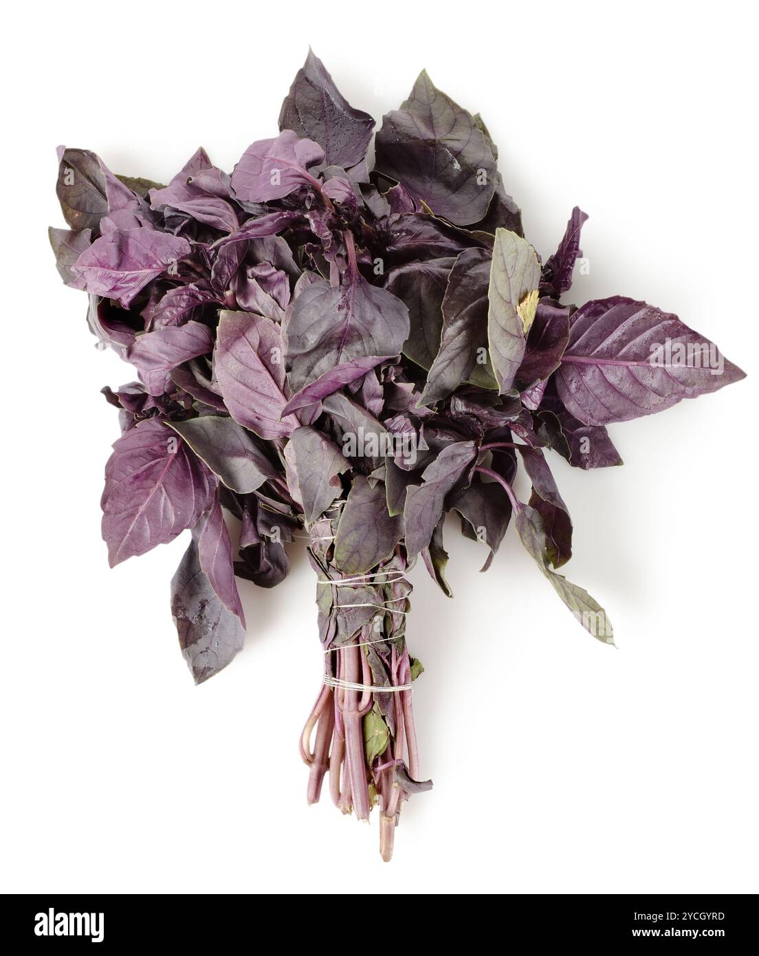 Bunch of sweet basil Cut Out Stock Images & Pictures - Alamy