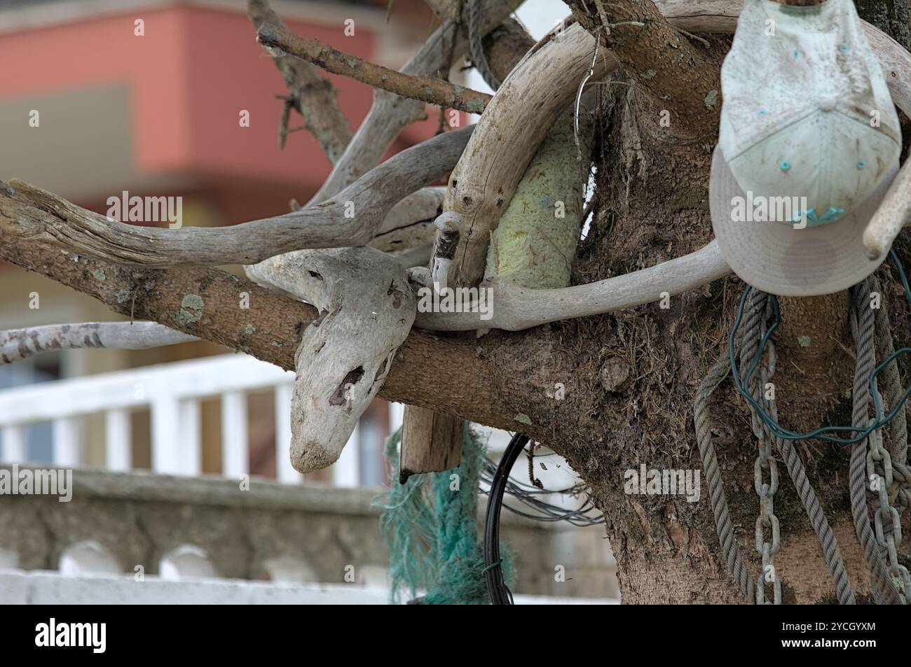 Pareidolia hi-res stock photography and images - Alamy