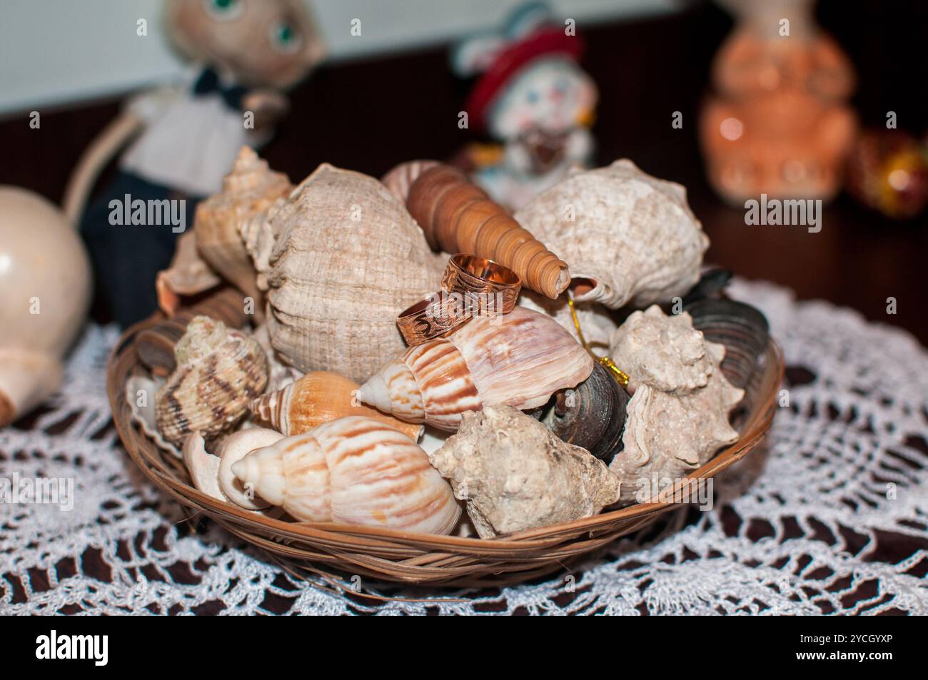 Coastal Treasures: A Charming Display of Seashells and Decorative ...
