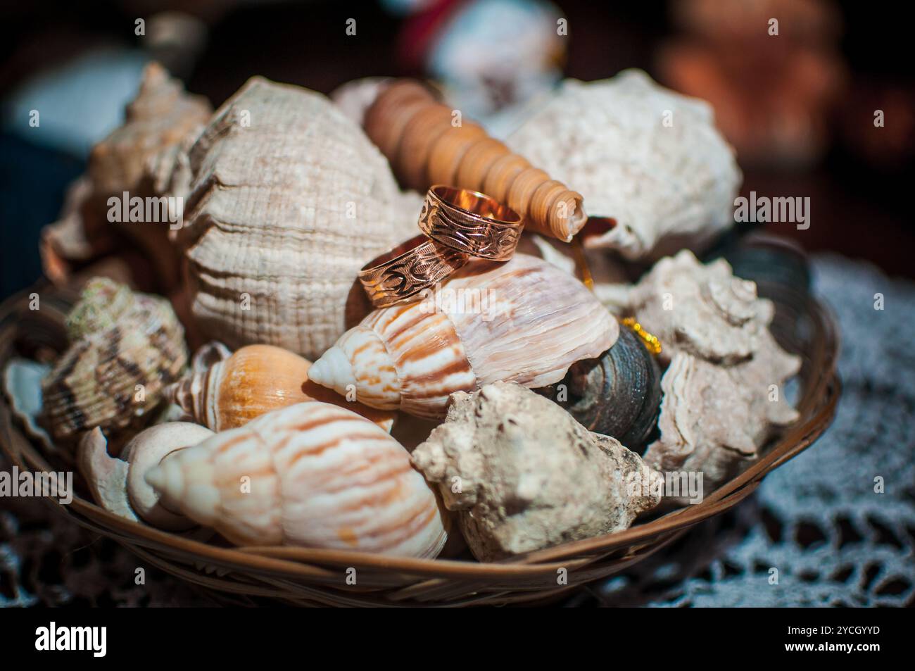 Elegant Collection of Seashells and Jewelry in a Decorative Basket ...