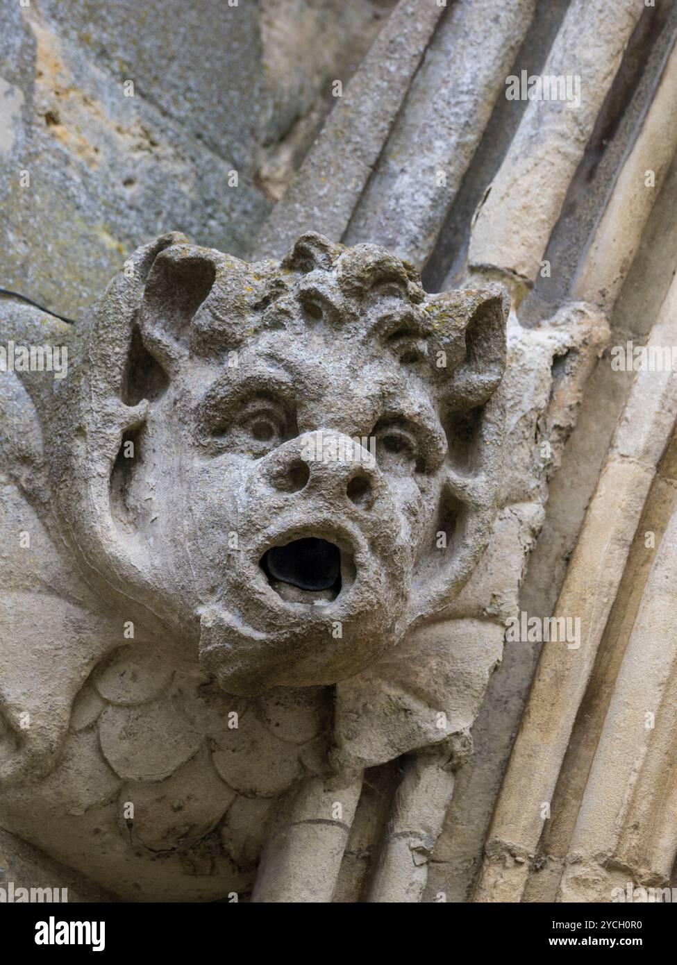 Monster Gargoyle, Carving, The West Font, Salisbury Cathedral ...