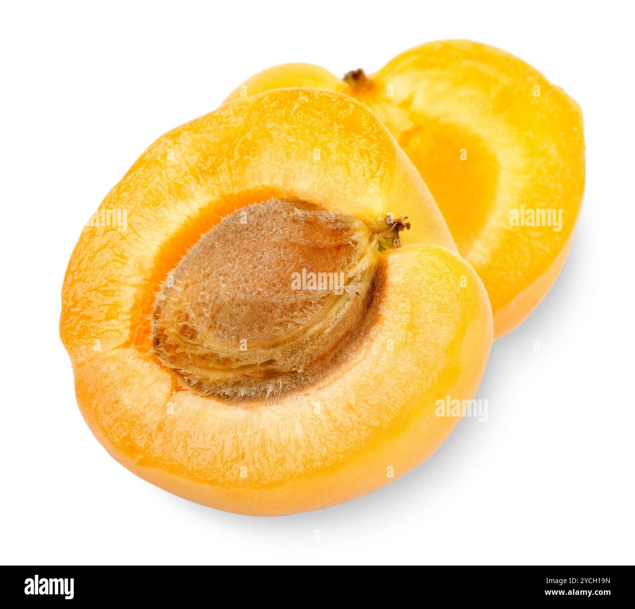 Sectioned image hi-res stock photography and images - Alamy