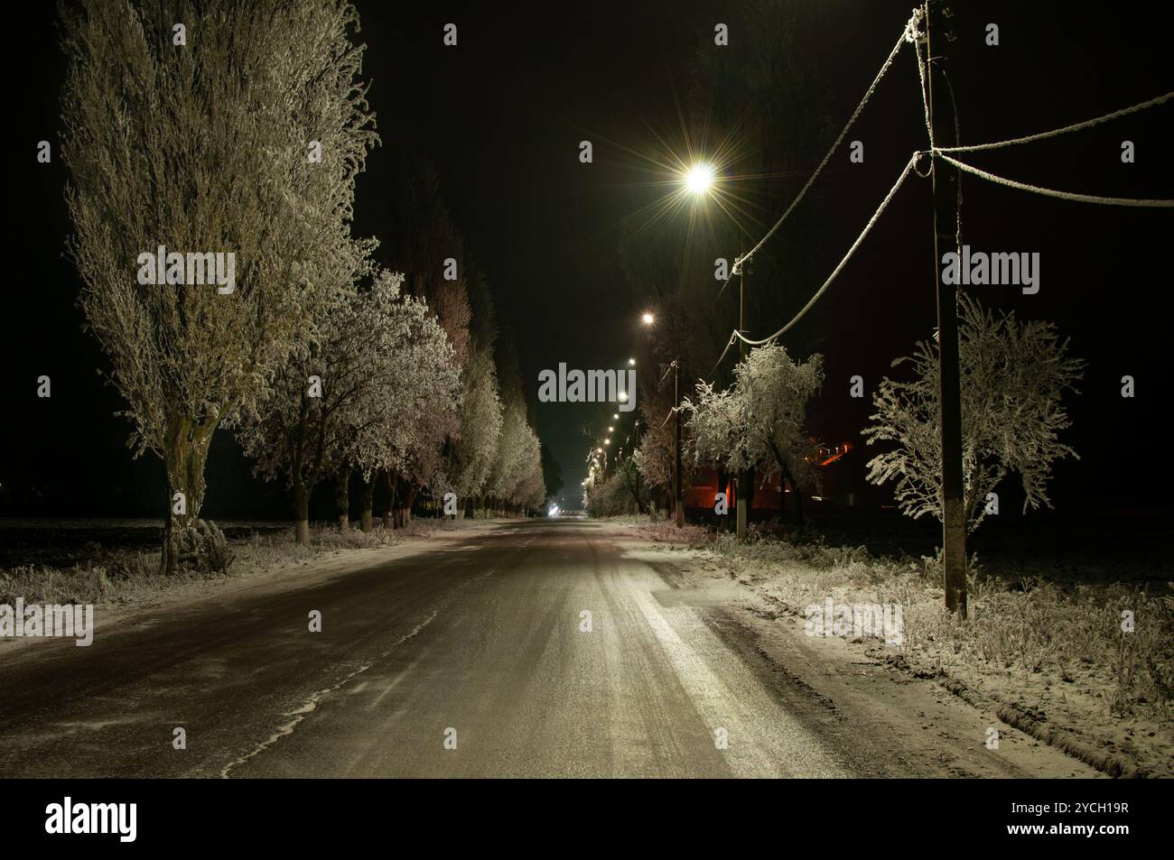 Serene Winter Night Along a Frosted Roadway Illuminated by Streetlights ...