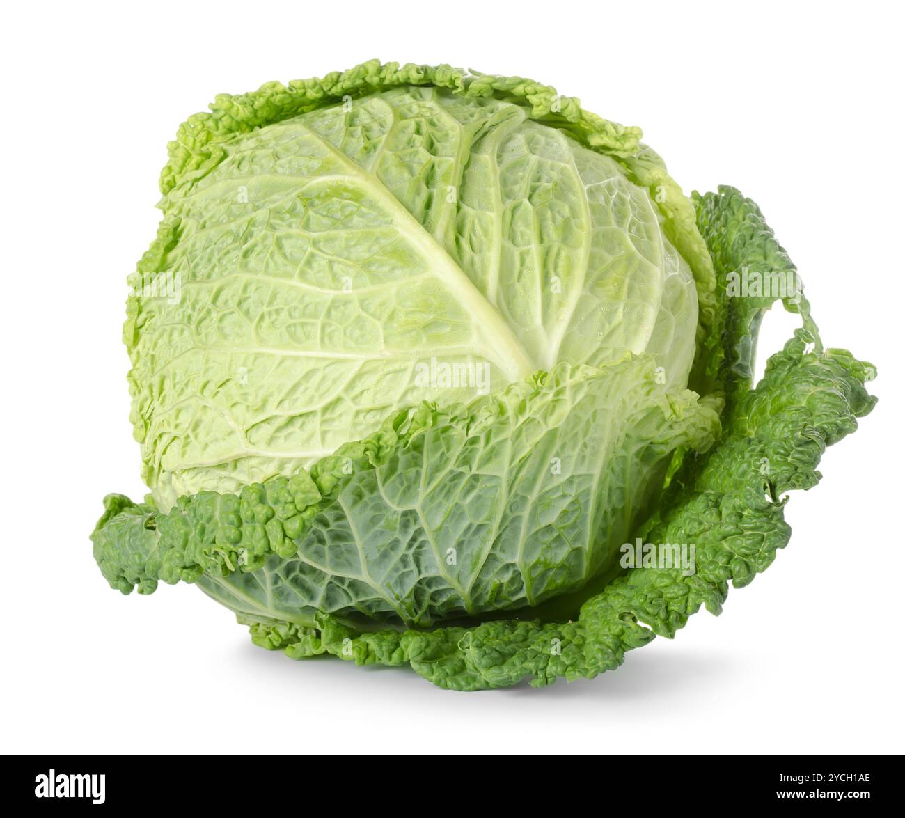 Green savoy cabbage vegetable Cut Out Stock Images & Pictures - Alamy