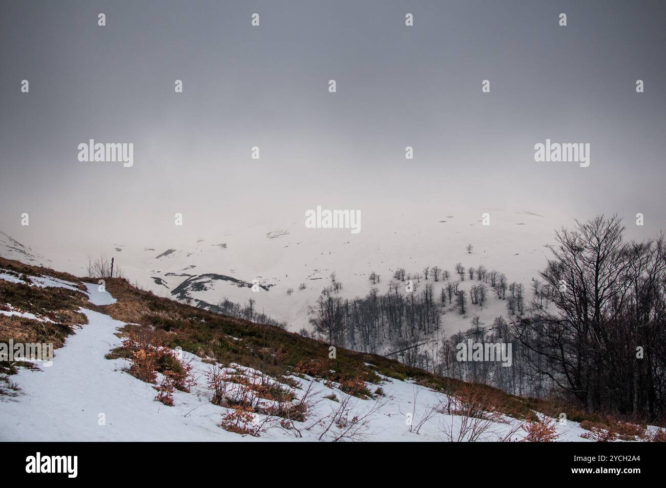 Lush Mountain Landscape Under a Gloomy Sky with a Dusting of Snow Stock Photo - Alamy