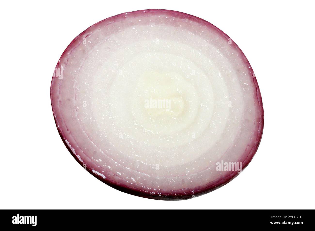 Onion plant close up Cut Out Stock Images & Pictures - Alamy