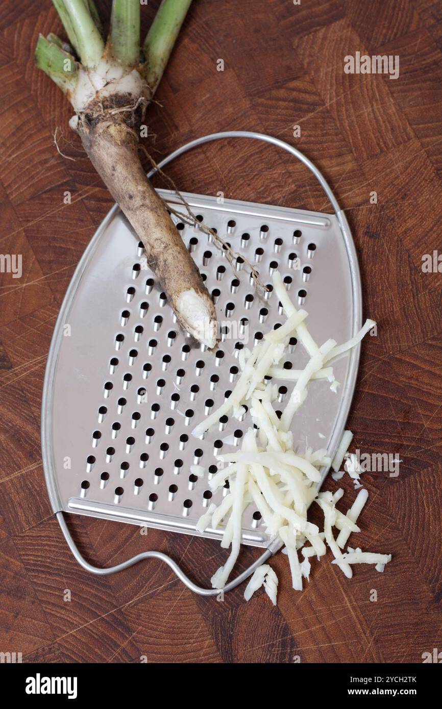 Grating fresh horseradish root hi-res stock photography and images - Alamy