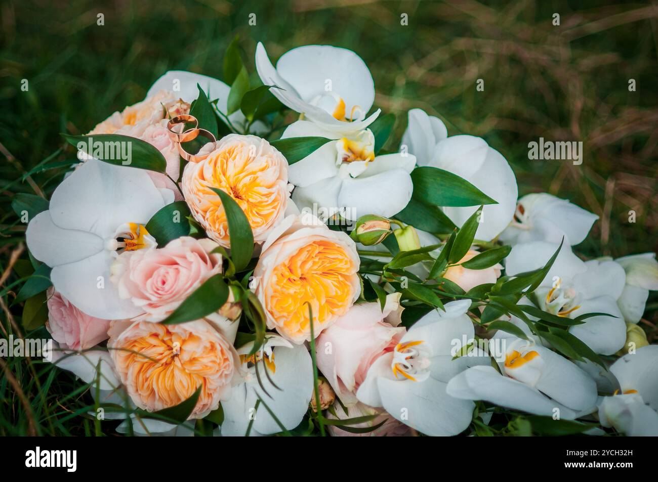 Lush arrangement of elegant orchids hi-res stock photography and images ...