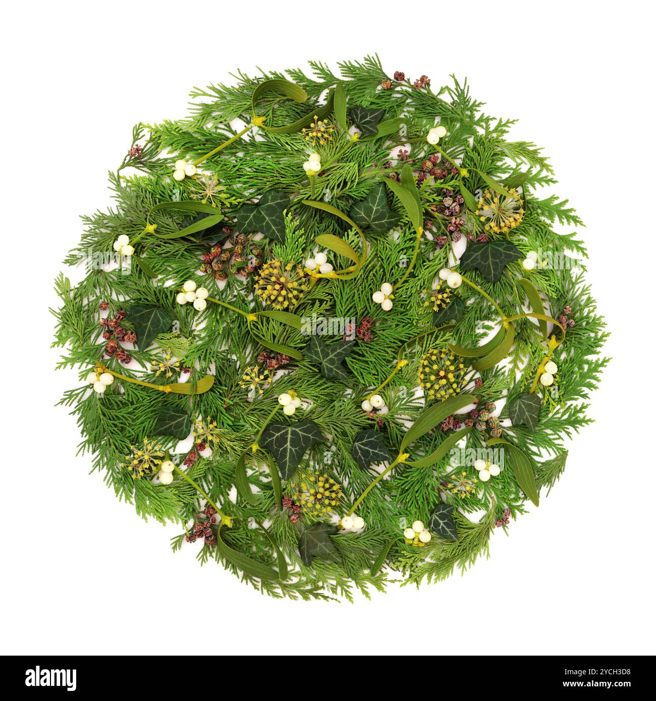 All year round greenery Cut Out Stock Images & Pictures - Alamy