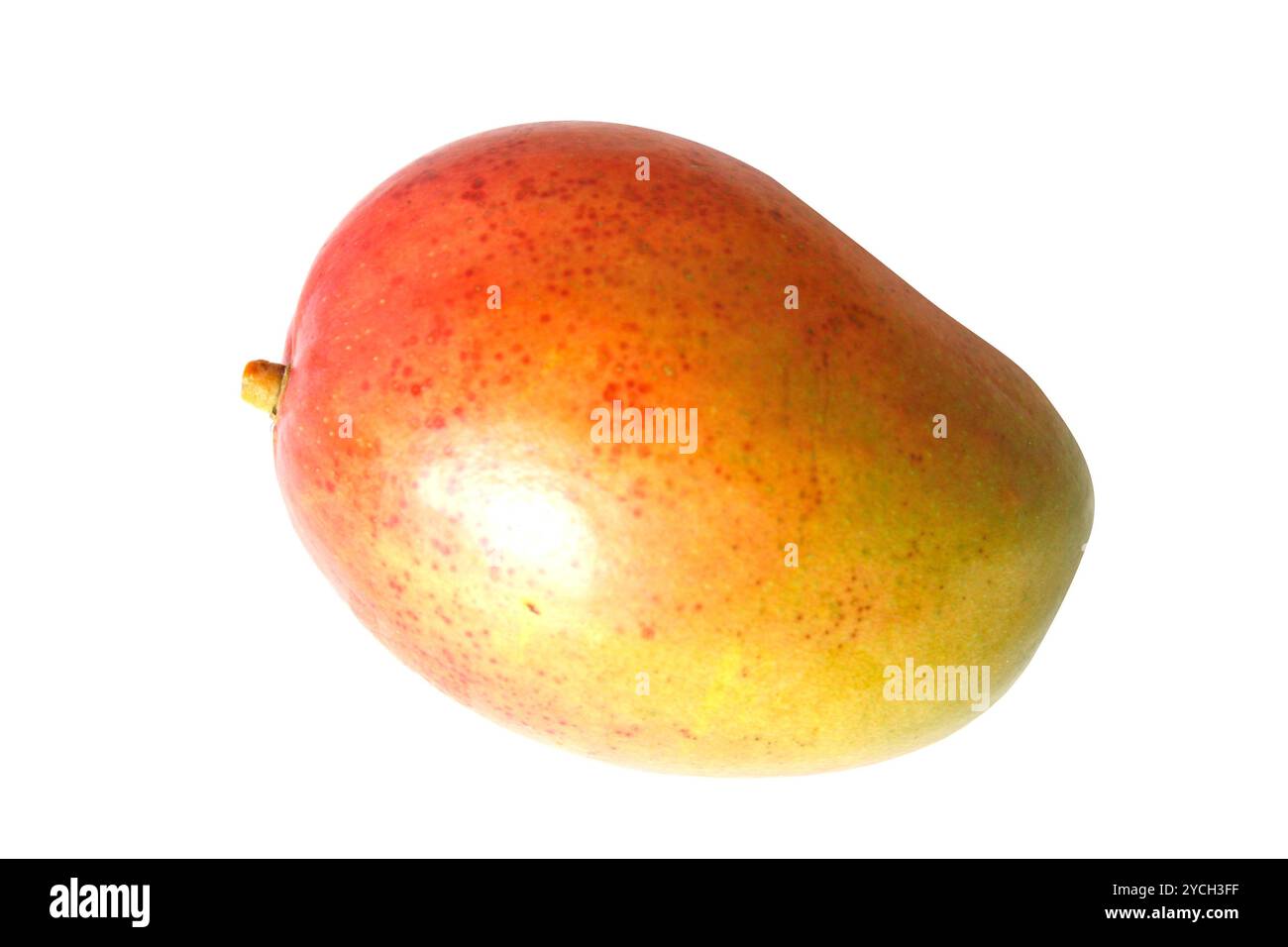 Mango seed Cut Out Stock Images & Pictures - Alamy