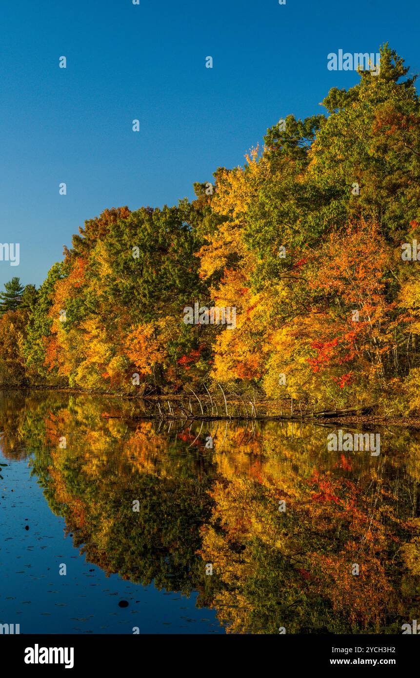 Color and Reflections at D.W. Field Park, Brockton, MA Stock Photo - Alamy