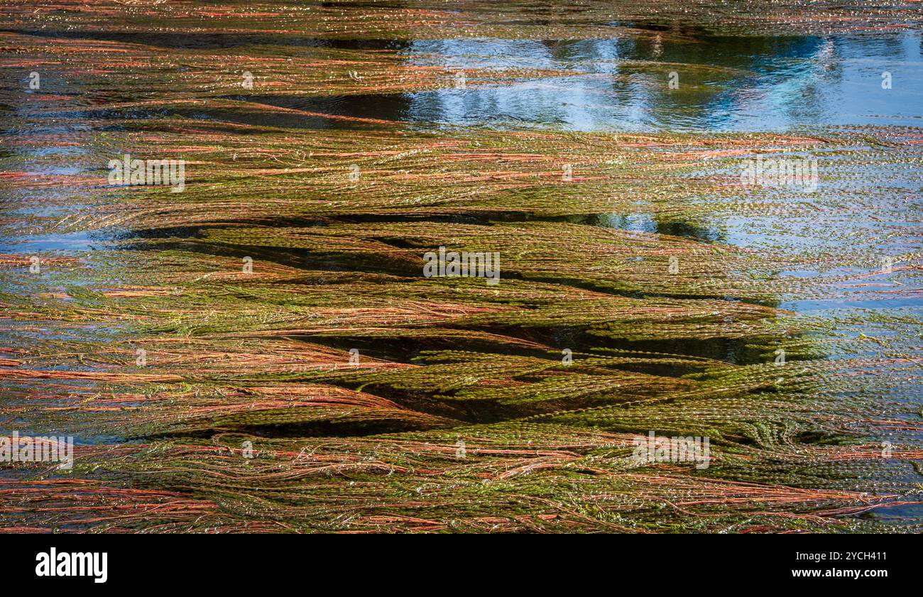 Water surface patterns hi-res stock photography and images - Alamy