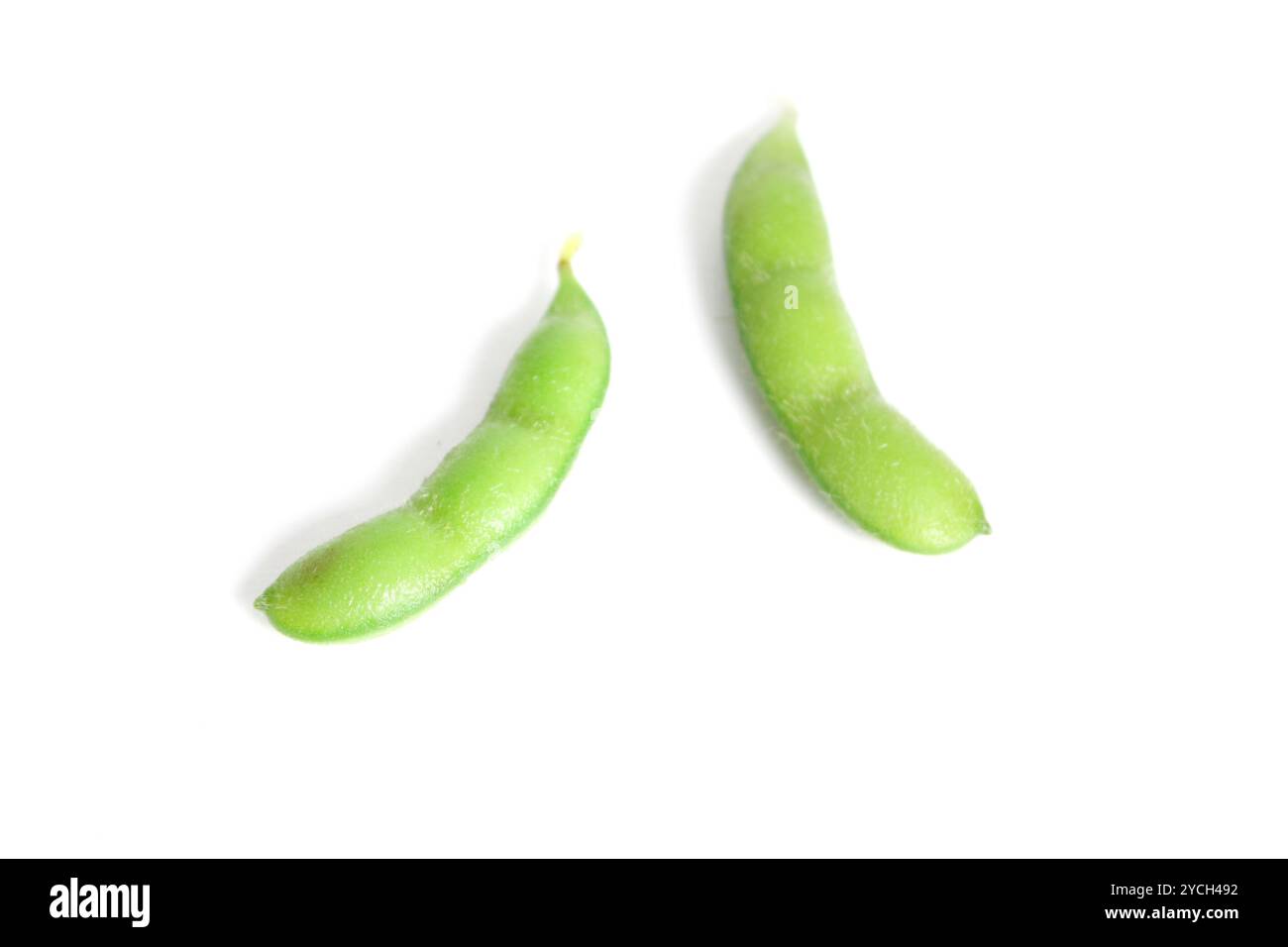 Edamame soybean Cut Out Stock Images & Pictures - Alamy