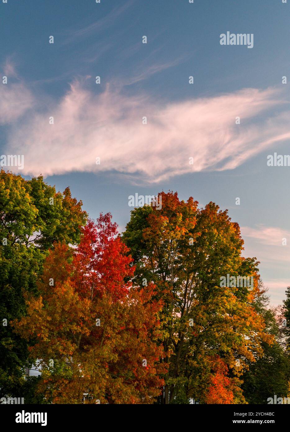 Long Hill, Fall Colors, Beverly, MA, USA Stock Photo - Alamy