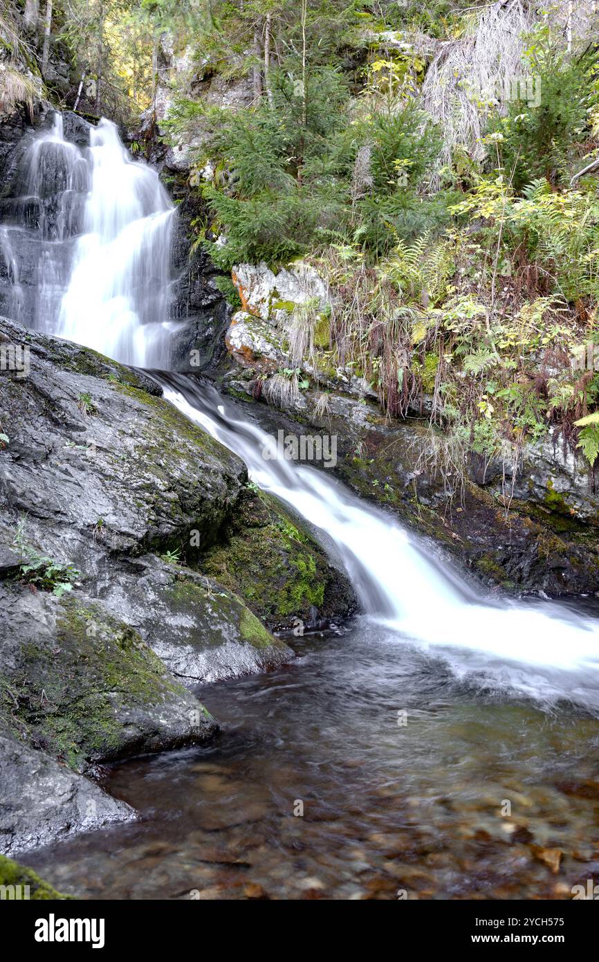 Oranz hi-res stock photography and images - Alamy