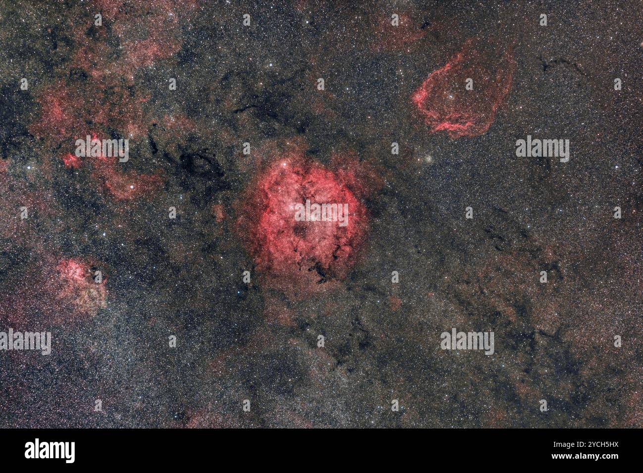 Orion rose hi-res stock photography and images - Alamy