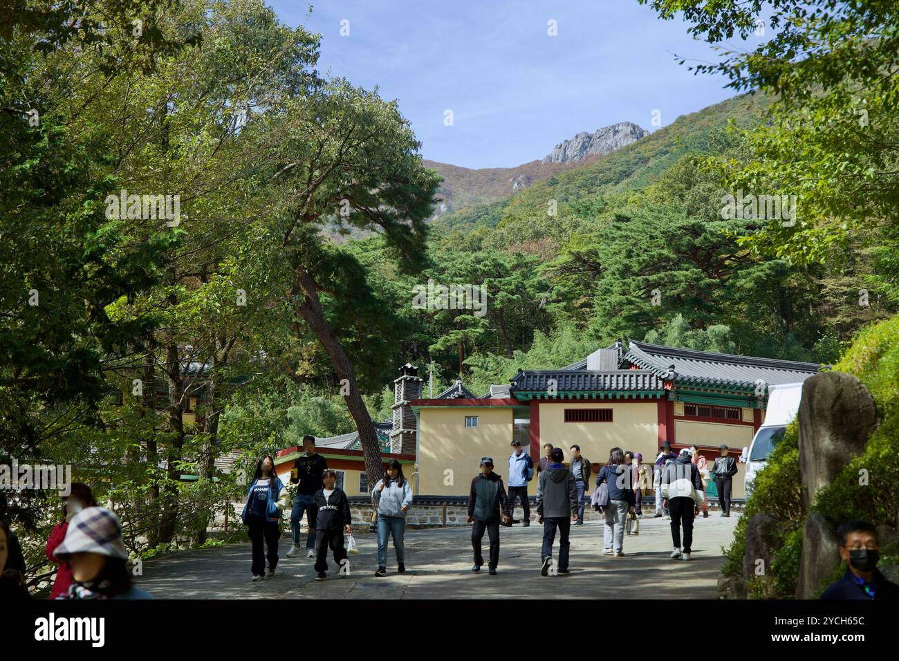 Serene temple pathway lined hi-res stock photography and images - Alamy