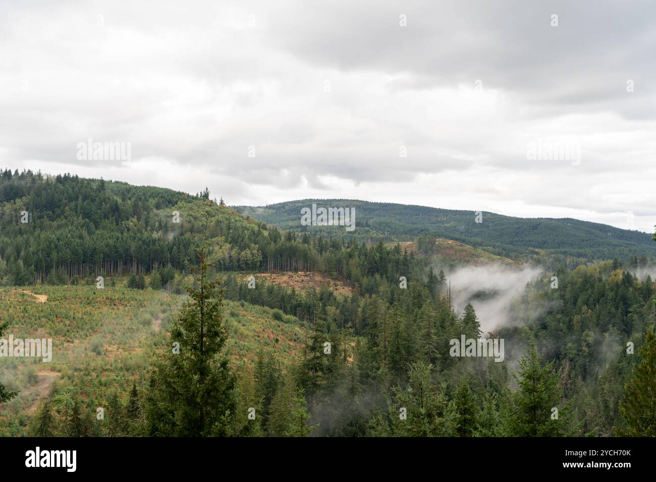 A moody and scenic view of Washington state mountains with a lot of ...