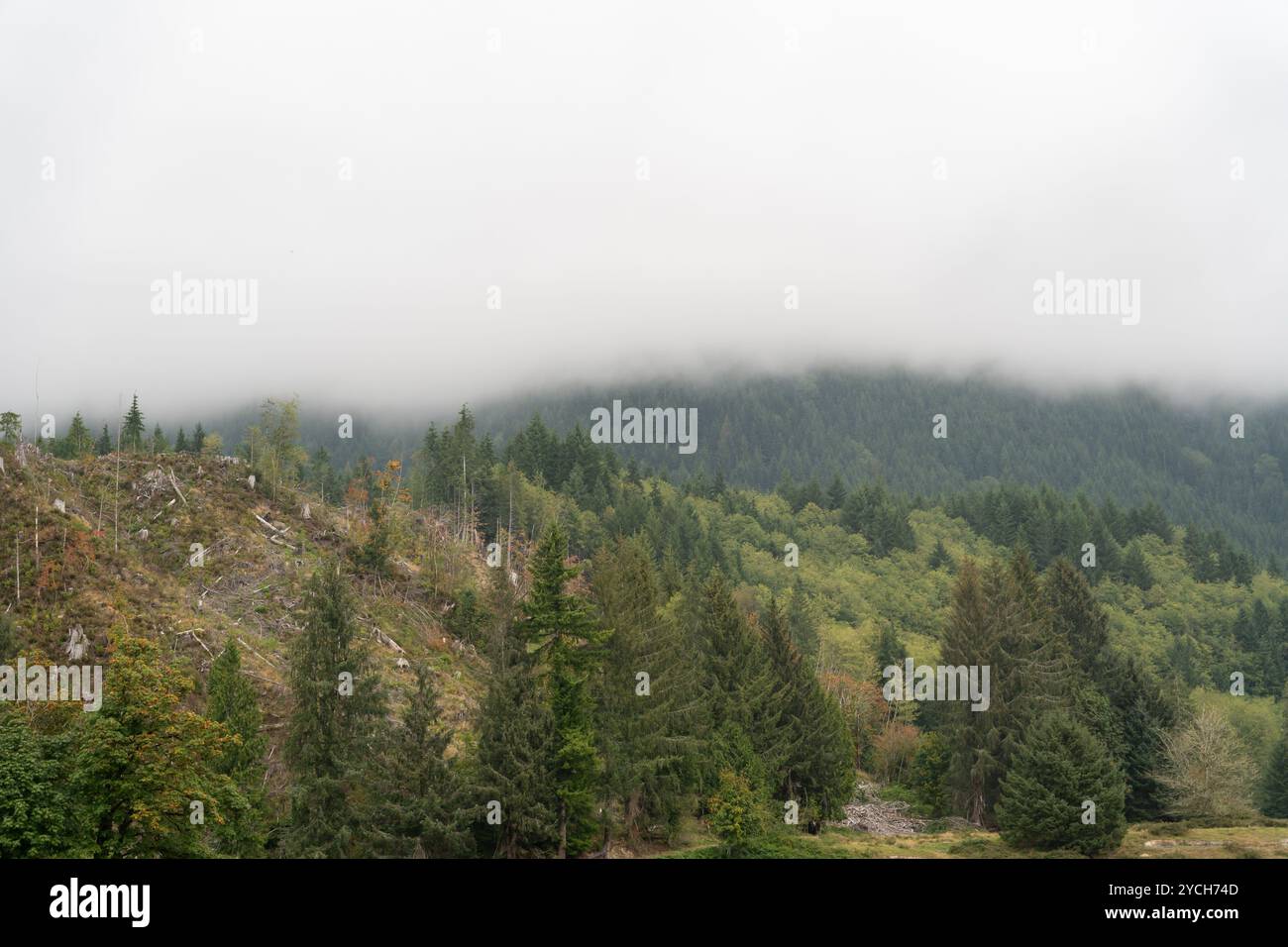 A moody and scenic view of Washington state mountains with a lot of ...
