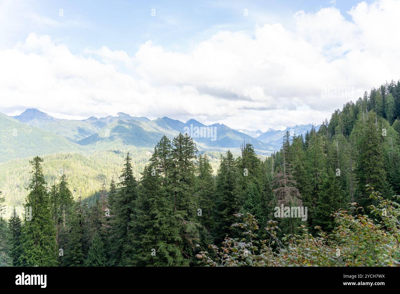 A moody and scenic view of Washington state mountains with a lot of ...