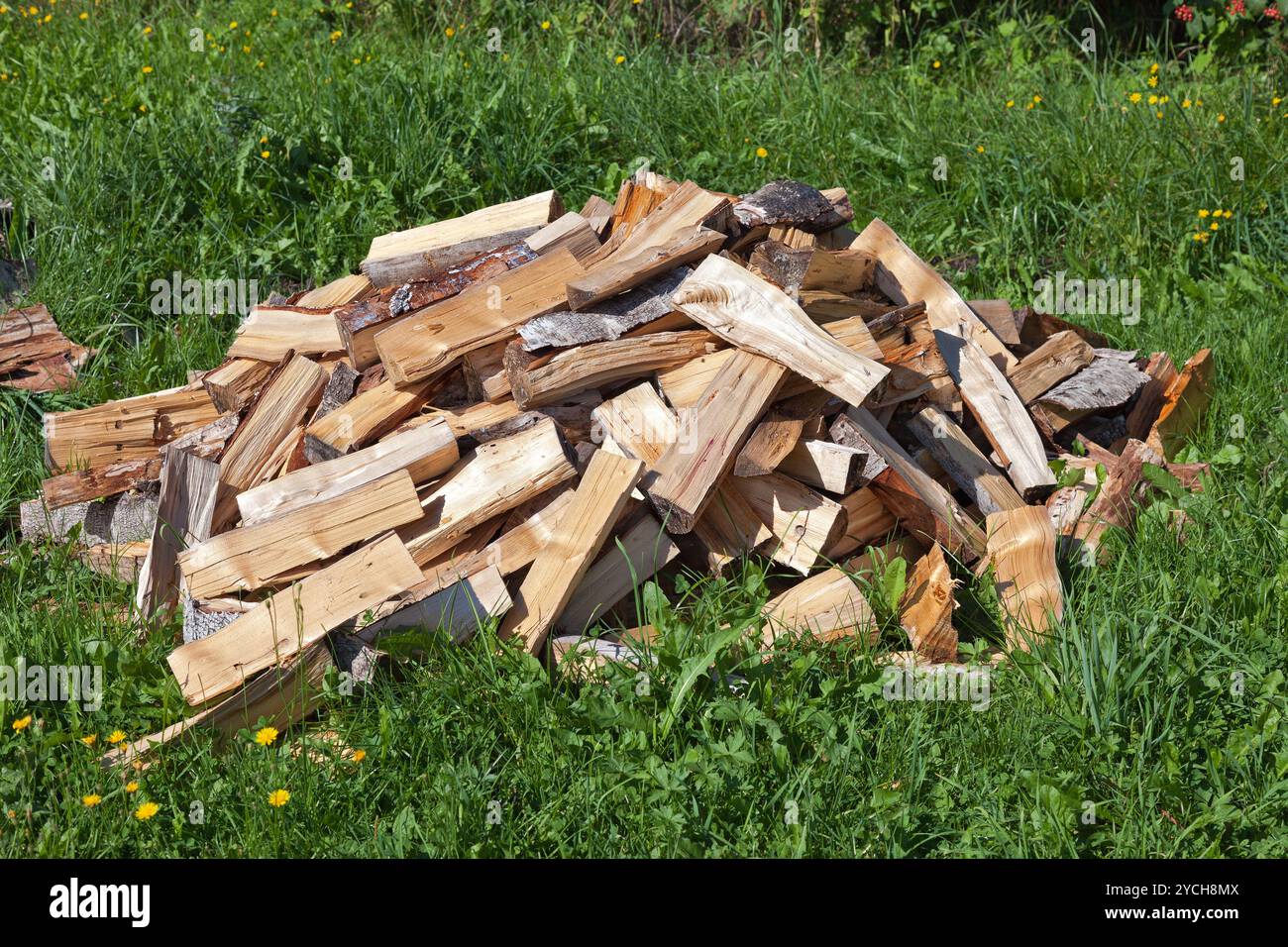 Pile of chopped firewood lying on the grass Stock Photo - Alamy