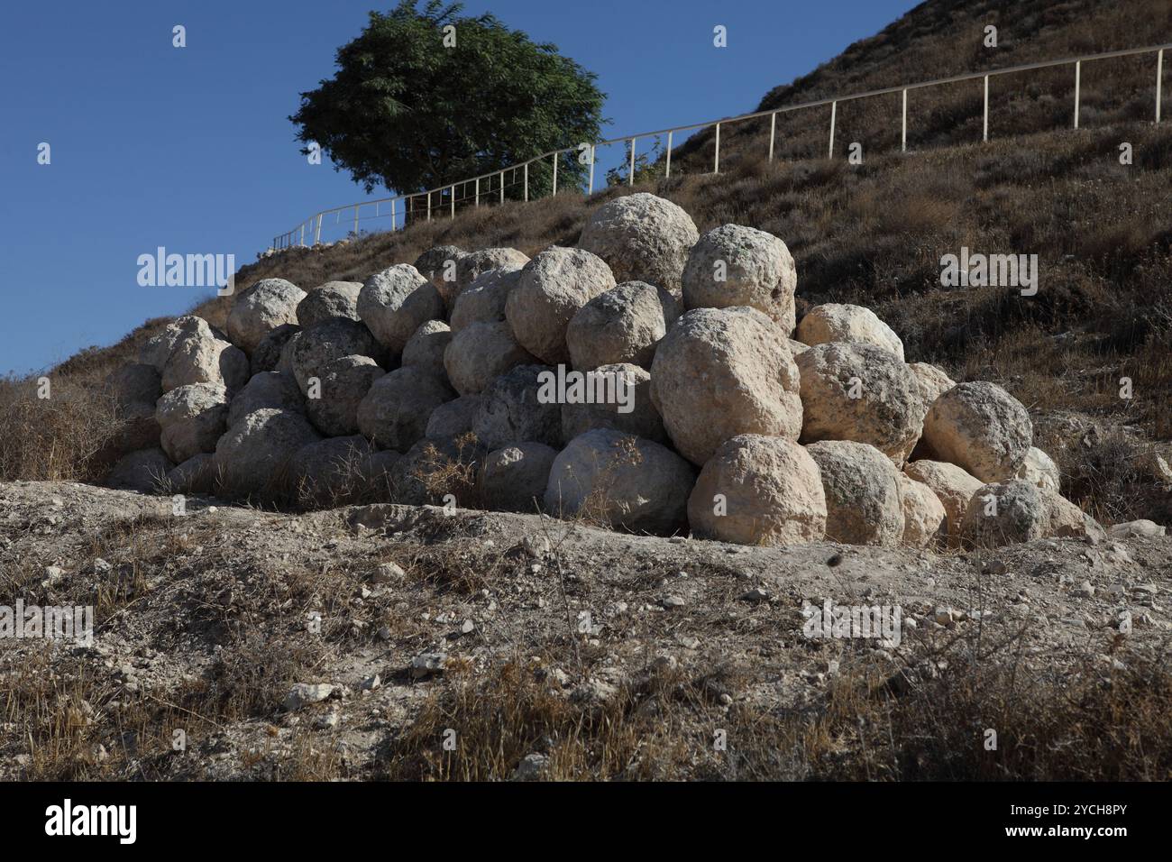 10th roman legion fretensis hi-res stock photography and images - Alamy