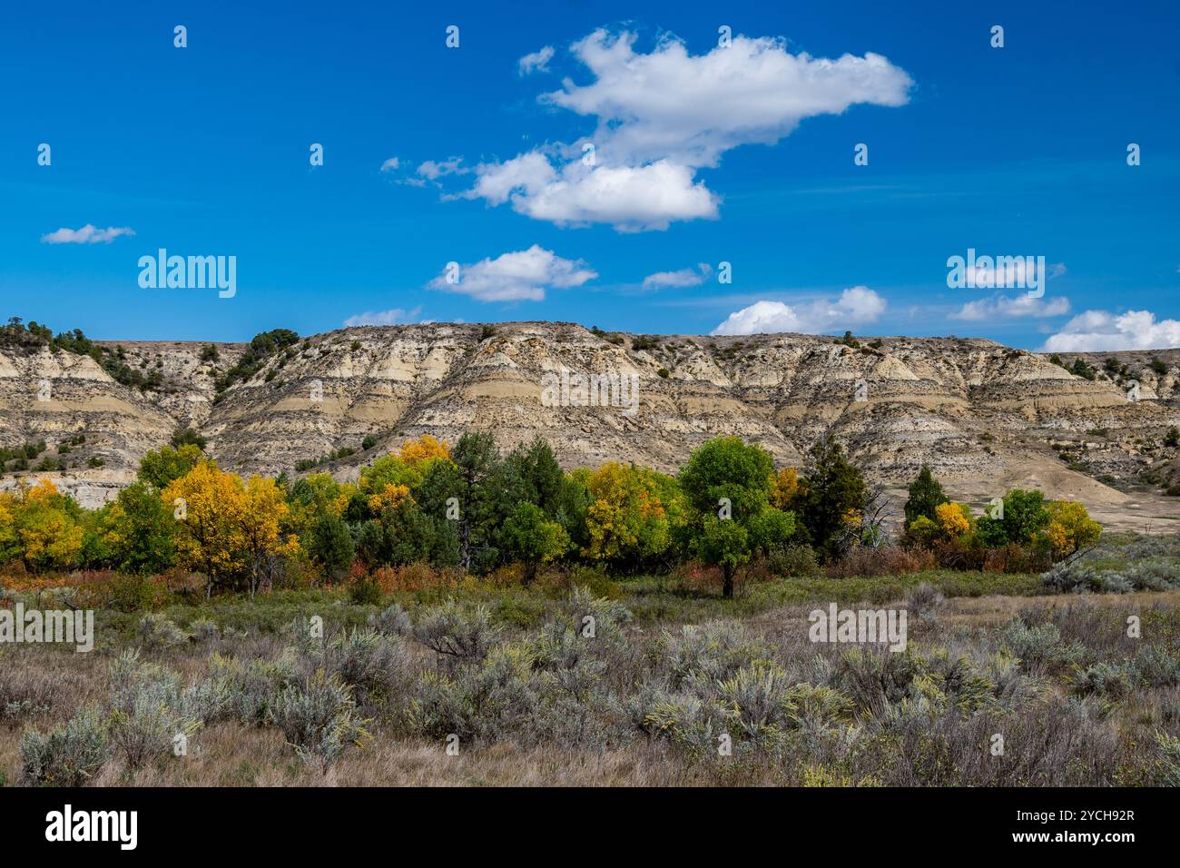 Colorful Trees in Theodore Roosevelt National Park in North Dakota ...