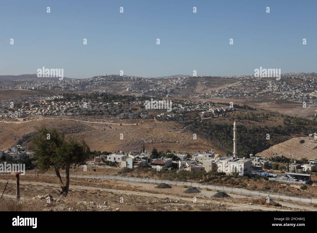 Mosque & minaret, Olive Trees, Palestinian Arab villages, hills ...