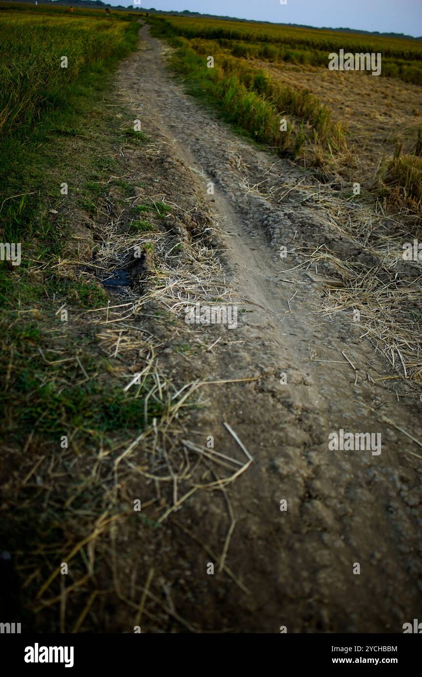dry dirt footpath Stock Photo - Alamy