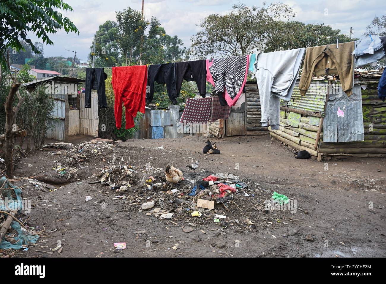 Drying laundry on narrow and dirty streets of slum in Nairobi. Kenya ...