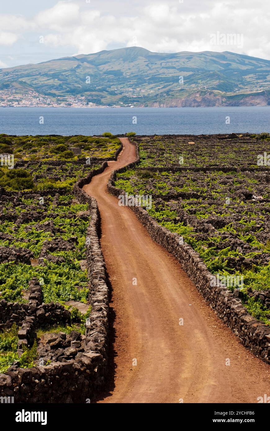 Azorean agriculture hi-res stock photography and images - Alamy
