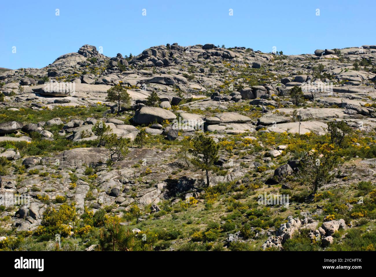 Beautiful view rocky forest hi-res stock photography and images - Alamy
