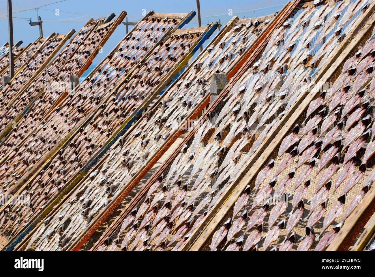 Fish drying outside Stock Photo - Alamy